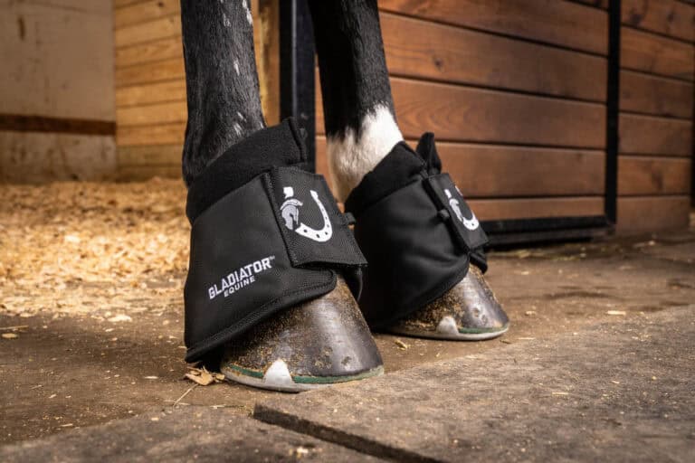 Horse Boot for Abscess: Top 3 Effective Picks 2024