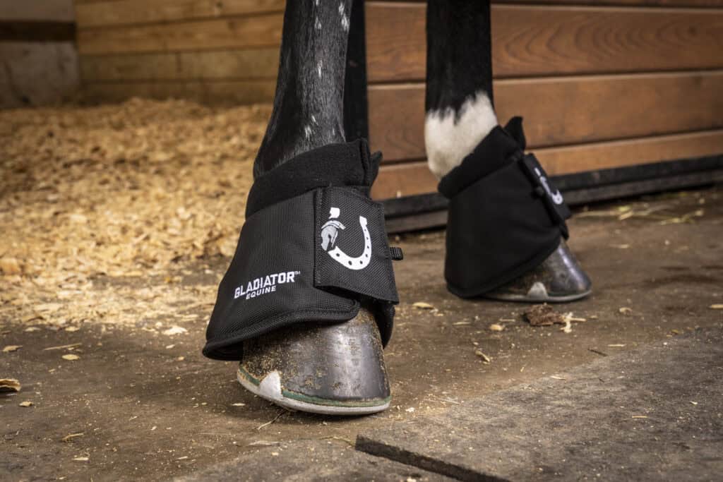 The Evolution of Protection: Understanding Bell Boots